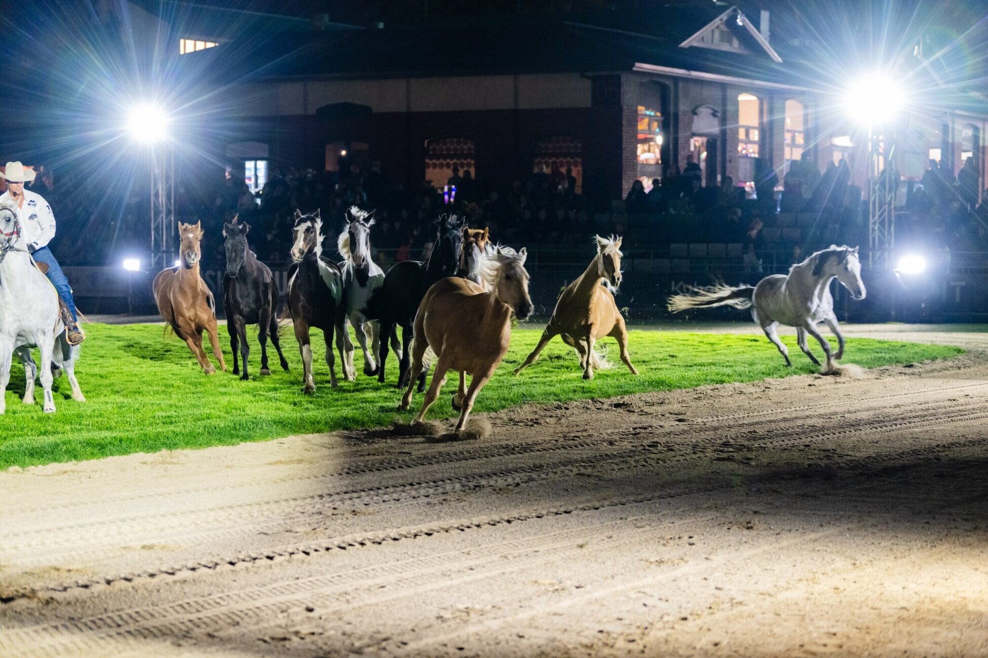 Main Arena - Melbourne Showgrounds