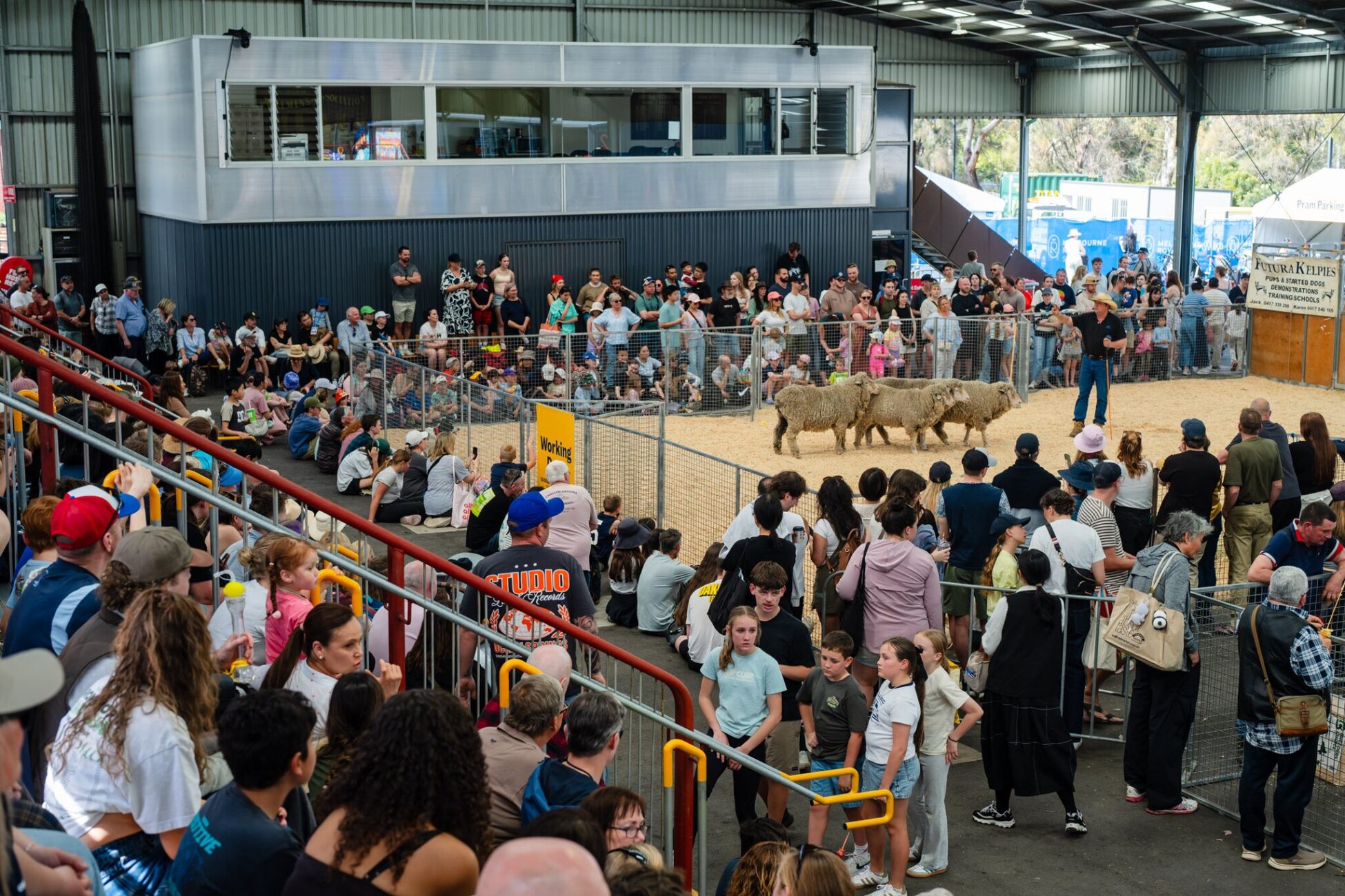 Woodchop Arena - Melbourne Showgrounds