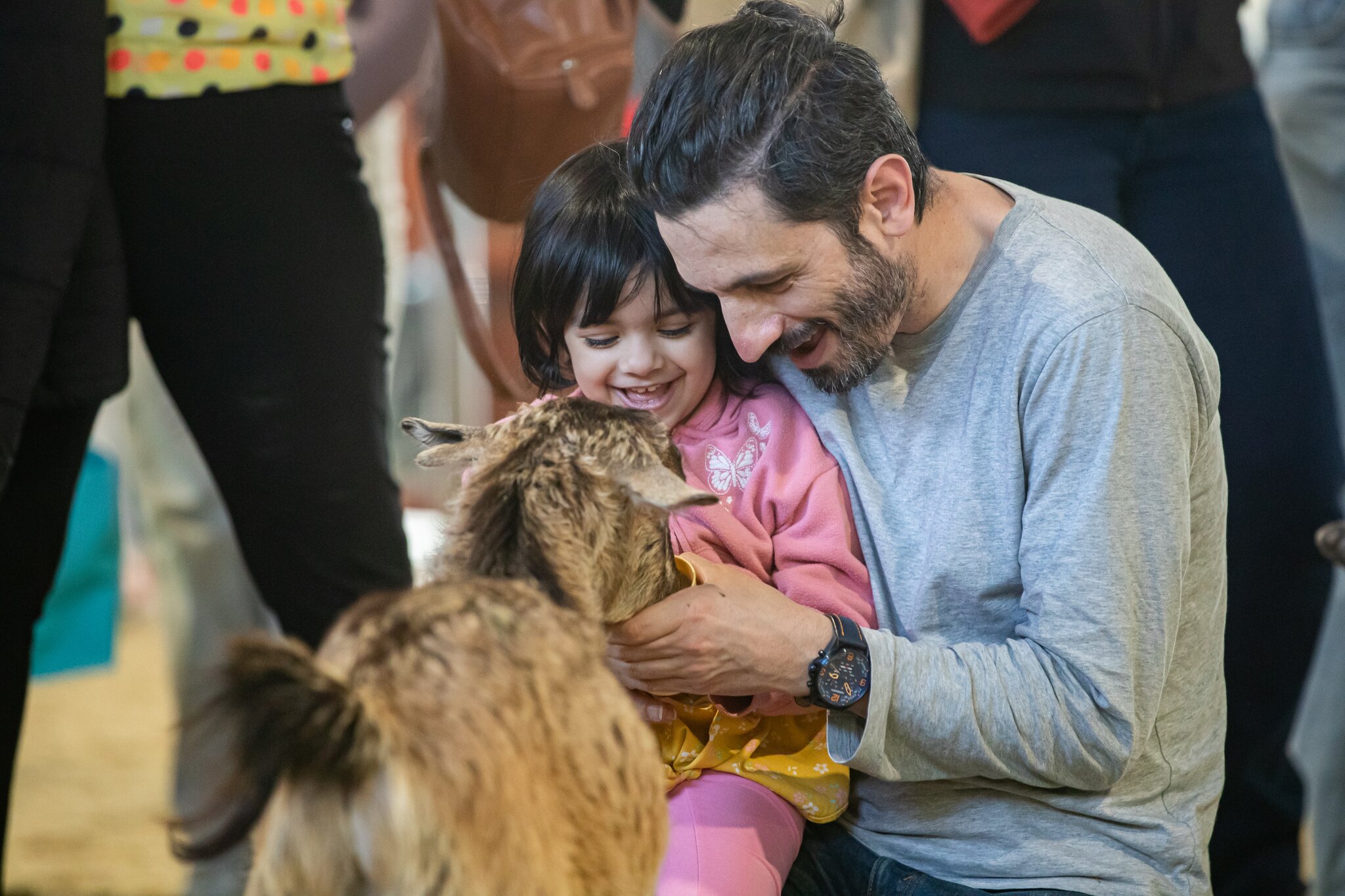 2025 Melbourne Royal Show - Melbourne Showgrounds